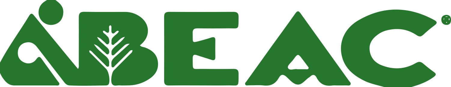 Certifications & Qualitifications – IIA